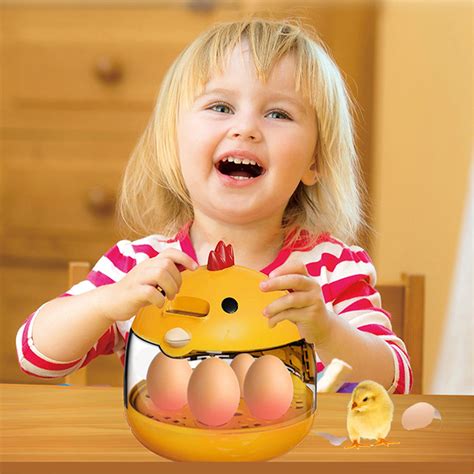 Portable Egg Incubators Automatic Temperature And Humidity Control Incubators Incubators For