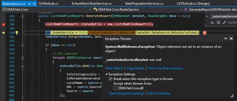 When I Click On Generate Real Point Null Reference Exception Shows In
