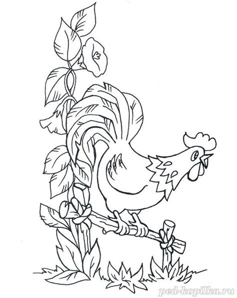 Раскраска и стишок про Петушка СТИХ ЗАГАДКА С ранней утренней поры Разбудил петух дворы Не впада