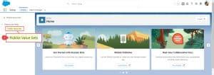 Global Picklist Value Set In Salesforce