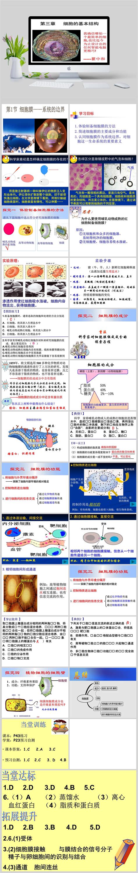3 1 细胞膜 ——系统的边界修订ppt 当图网