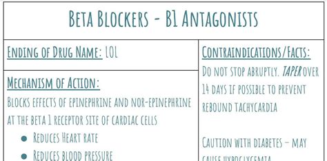 Beta Blocker Pharm Notes Etsy
