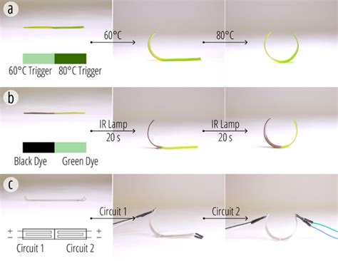 Epomemory Multi State Shape Memory For Programmable Morphing Interfaces