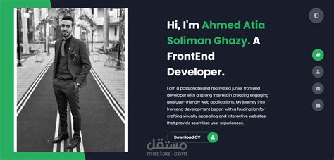 Portfolio مستقل