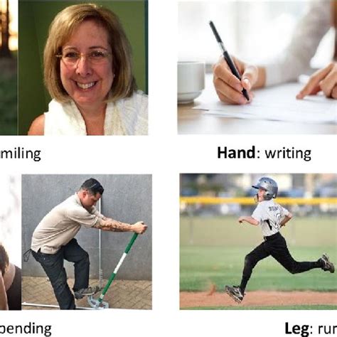 Pdf Vision Based Human Activity Recognition A Survey