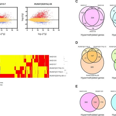 Dna Methylation Profiles By Bisulfite Pyrosequencing Analysis A Dna