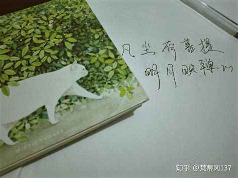 雪域里最大的王世间最美的情郎仓央嘉措 知乎