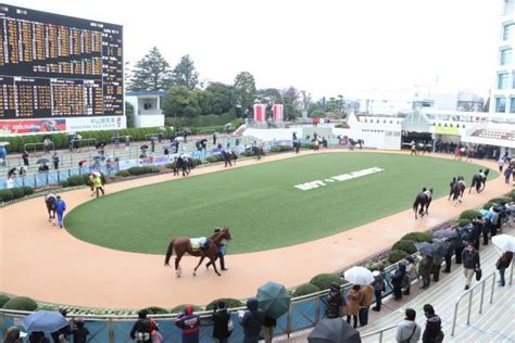 中山競馬場へ 平日会社を休んだら