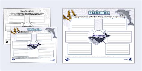 Echolocation Mind Map Twinkl Science Teacher Made