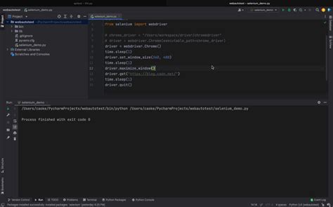 Pythonselenium实现浏览器基本操作详解python Selenium 浏览器 Csdn博客