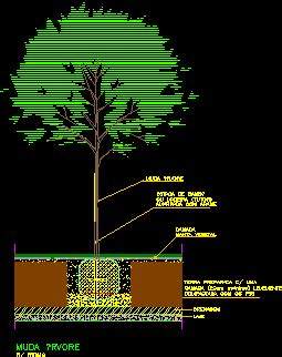 Tree Plantation Detail D DWG Detail For AutoCAD Designs CAD