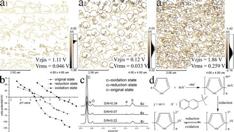 Surface Potential Imaging Potential Contour Display Of Cpnas In Download Scientific Diagram