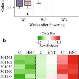 Estimation Of Color Intensity Color Intensity Represents Sum Of Color Download Scientific