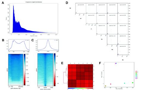 Results Of The Assay For Transposase Accessible Chromatin By Sequencing