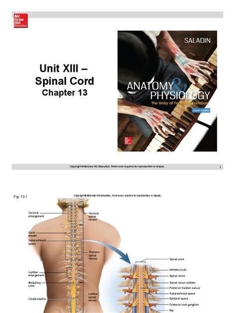 unit xiii power point slides pdf