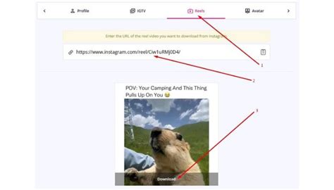 How To Download Instagram Reels New Vision Theatres