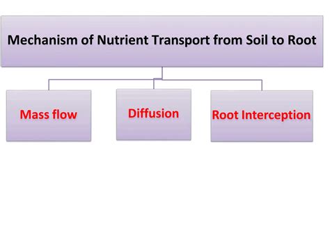 Mechanism Of Nutrient Transport And Its Basics Pptx