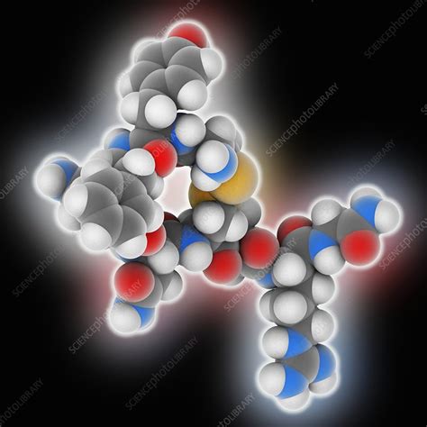 Vasopressin Hormone Molecule Stock Image C026 0428 Science Photo Library
