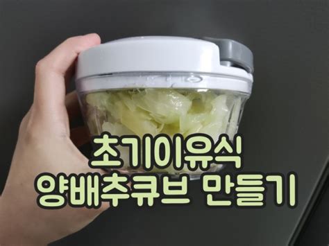 초기이유식 양배추큐브 만들기믹서기야채다지기 네이버 블로그