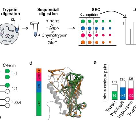 Sequential Digestion Strategy And Its Impact On Different Sample