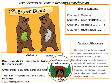 Reading Comprehension