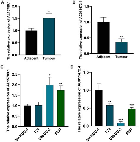 Starvation Induced Long Non Coding Rnas Are Significant For Prognosis
