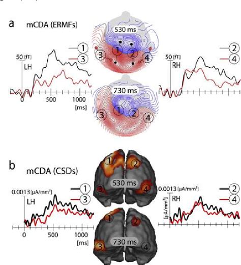 Figure 2 From Neural Sources Of Visual Working Memory Maintenance In Human Parietal And Ventral