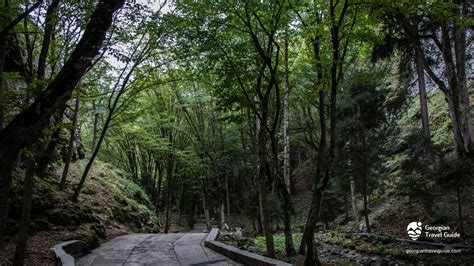 მწვანე მონასტერი Georgian Travel Guide