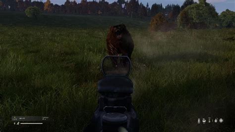 Can You Spawn Together In Dayz At Scott Cahill Blog