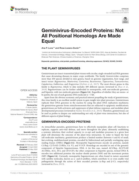 pdf geminivirus encoded proteins not all positional homologs are