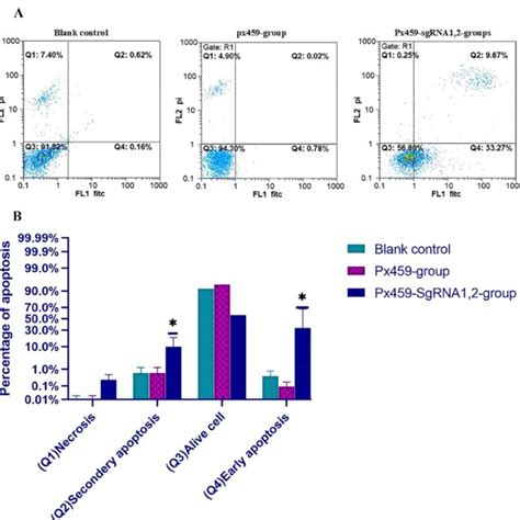 The Result Of Apoptosis Analyzes A Results Of Flow Cytometry Assay B