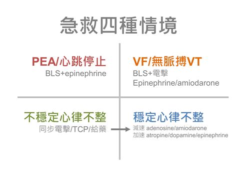林彥安醫師 2023年acls執照更新心得