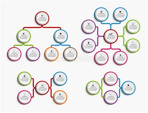 Bedrijfs Structuur Organigram Het Ontwerp Van Infographic Vector Illustratie Illustration Of