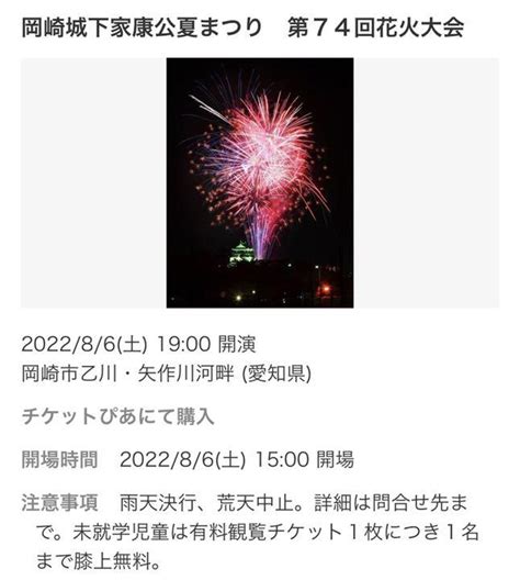 30％割引完売 岡崎花火大会 観覧席 乙川河川緑地イス席 その他 イベント Otaonarenanejp