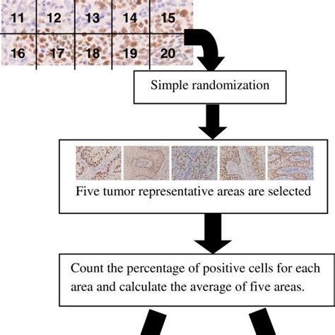 Genetic Algorithm Feature Selection Flowchart Download Scientific Diagram