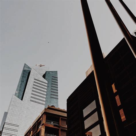 Custom It Solutions Caviar Data