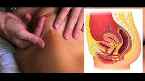 Temporada De Sex Education Porno Tarado