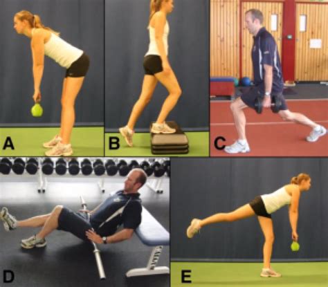 Top Tips For Proximal Hamstring Tendinopathy Rehab Sports Physical Therapy Hamstrings