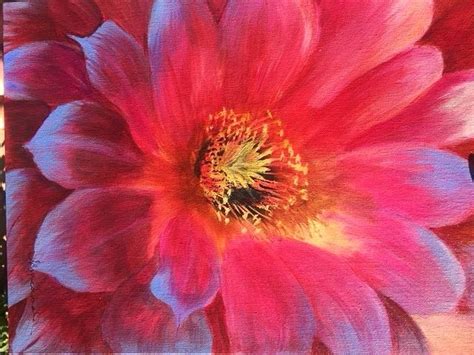 Trichocereus Bloom Painting By Kathleen Mcdonald Pixels