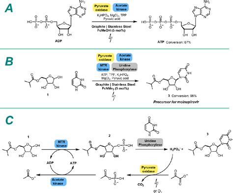 Figure 3 From Electrochemical Recycling Of Adenosine Triphosphate In Biocatalytic Reaction