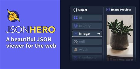 json hero a beautiful json explorer lets you browse search and navigate your json files at