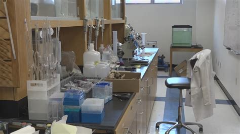 PFAS Prediction Model Being Developed By UMaine Researchers Newscentermaine Com