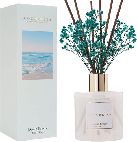 CocorrÍna Reed Diffuser Ocean Breeze Scented Diffuser With 8 Sticks Home Fragrance