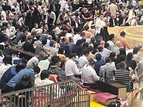 【写真】大相撲5月場所 溜席の着物美人が「評判になった着物の柄」を明かす 注目集めた「アラブの石油王」スタイルの観客との接点は？｜newsポストセブン