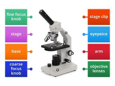 Microscope Teaching Resources