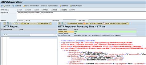 Sap Interfacing Odata