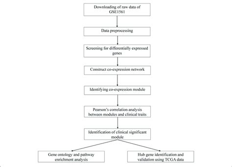 Flow Chart Of Data Preparation Processing Analysis And Validation