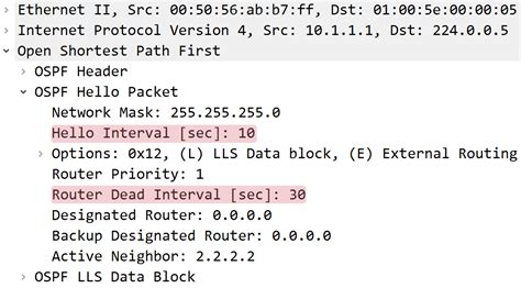 Ospf Hellodead Interval ゆるふわねっとわーく