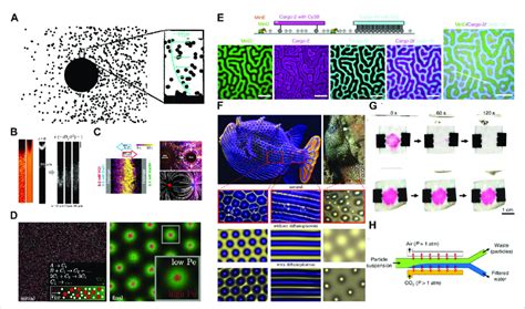 Fundamentals And Applications Of Passive Diffusiophoresis A A Download Scientific Diagram