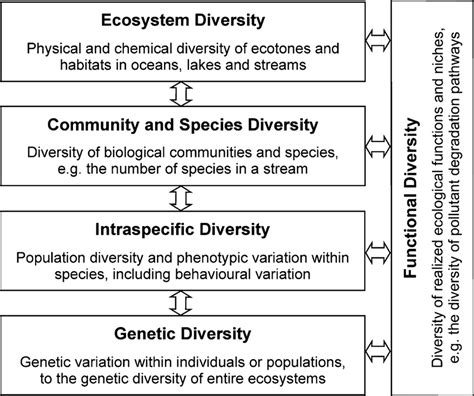 Hierarchical Levels Of Biodiversity In Aquatic Ecosystems Download Scientific Diagram